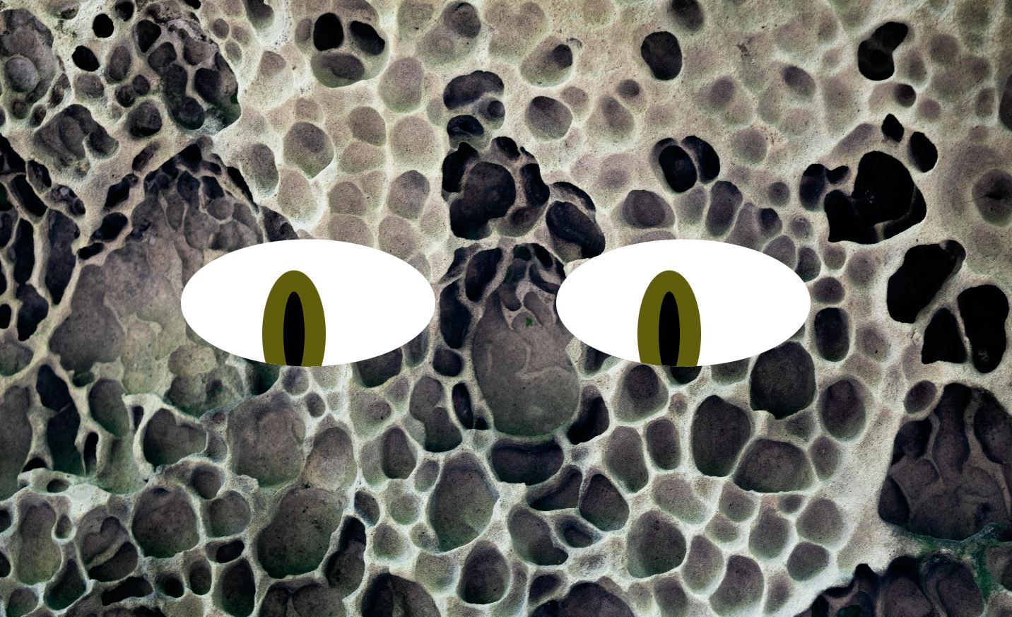 Aasia's github Portfolio